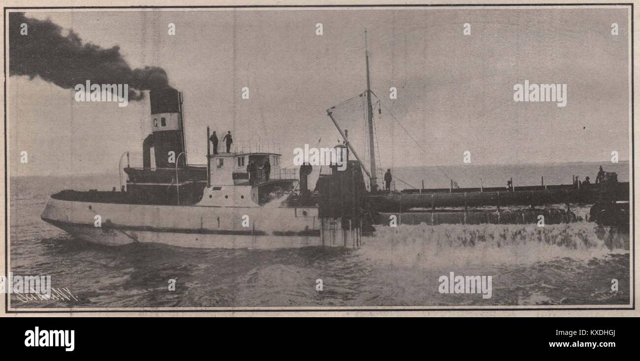 Sand hoppers hi-res stock photography and images - Alamy