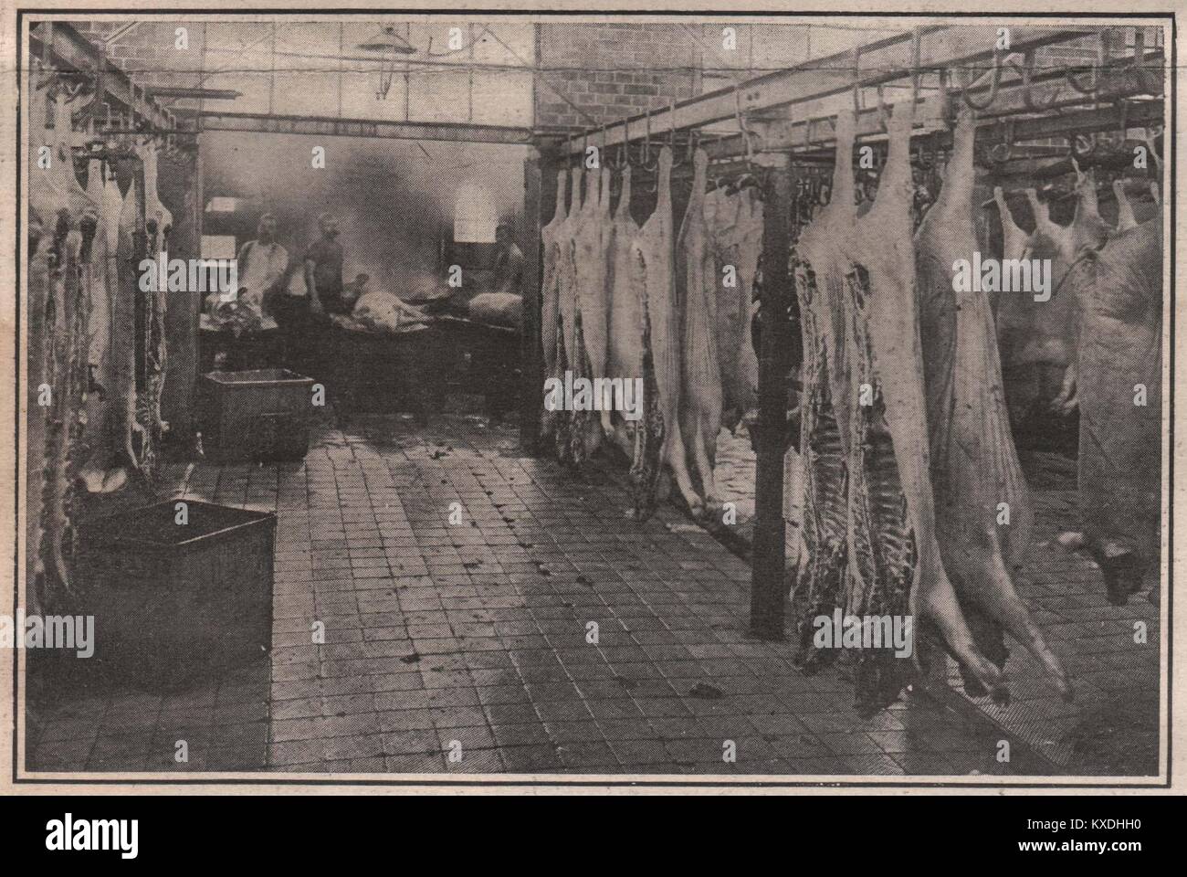 Municipal abattoir hi-res stock photography and images - Alamy