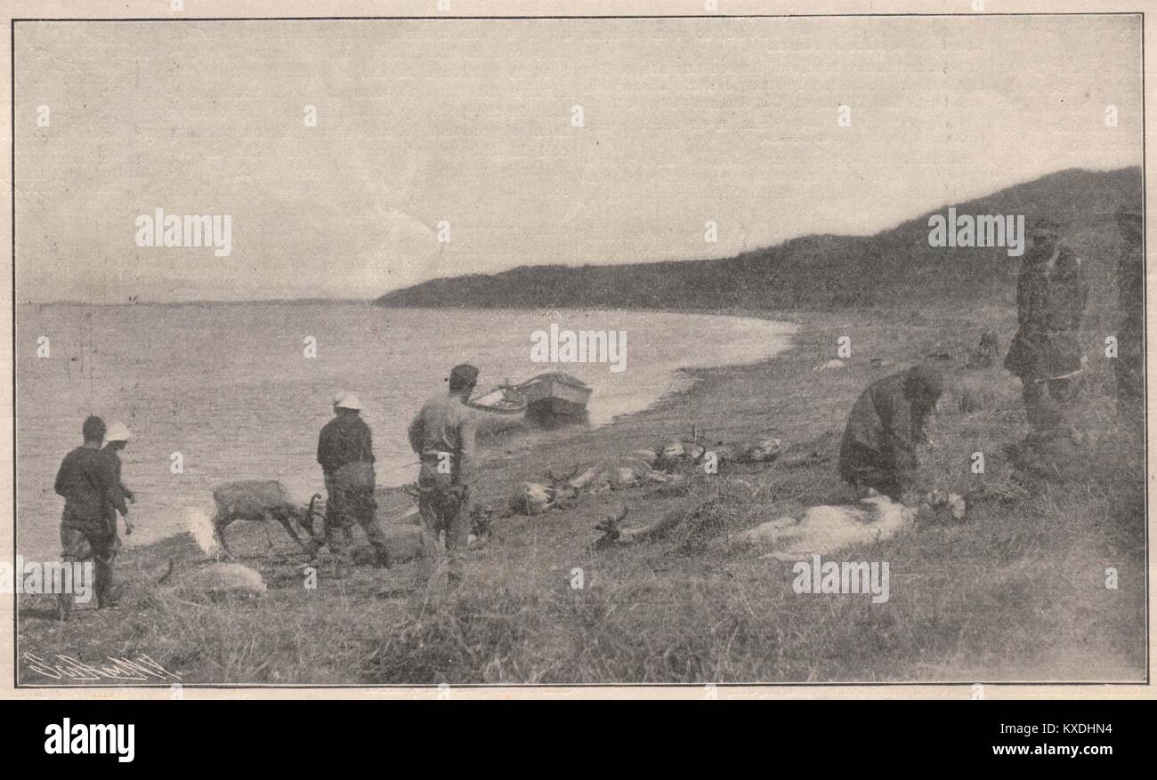 Hobbled hi-res stock photography and images - Alamy