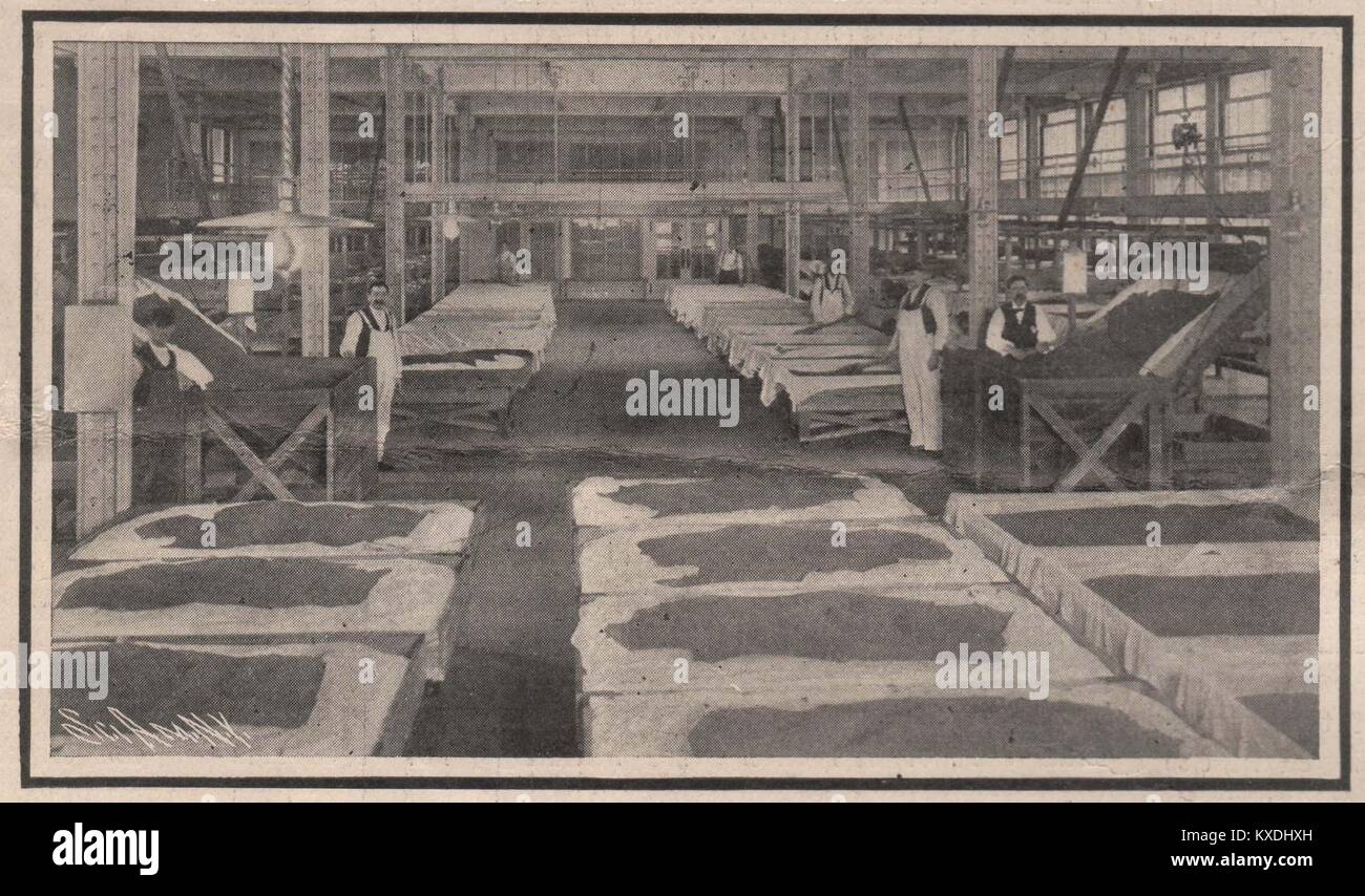 Thoroughly drying hi-res stock photography and images - Alamy