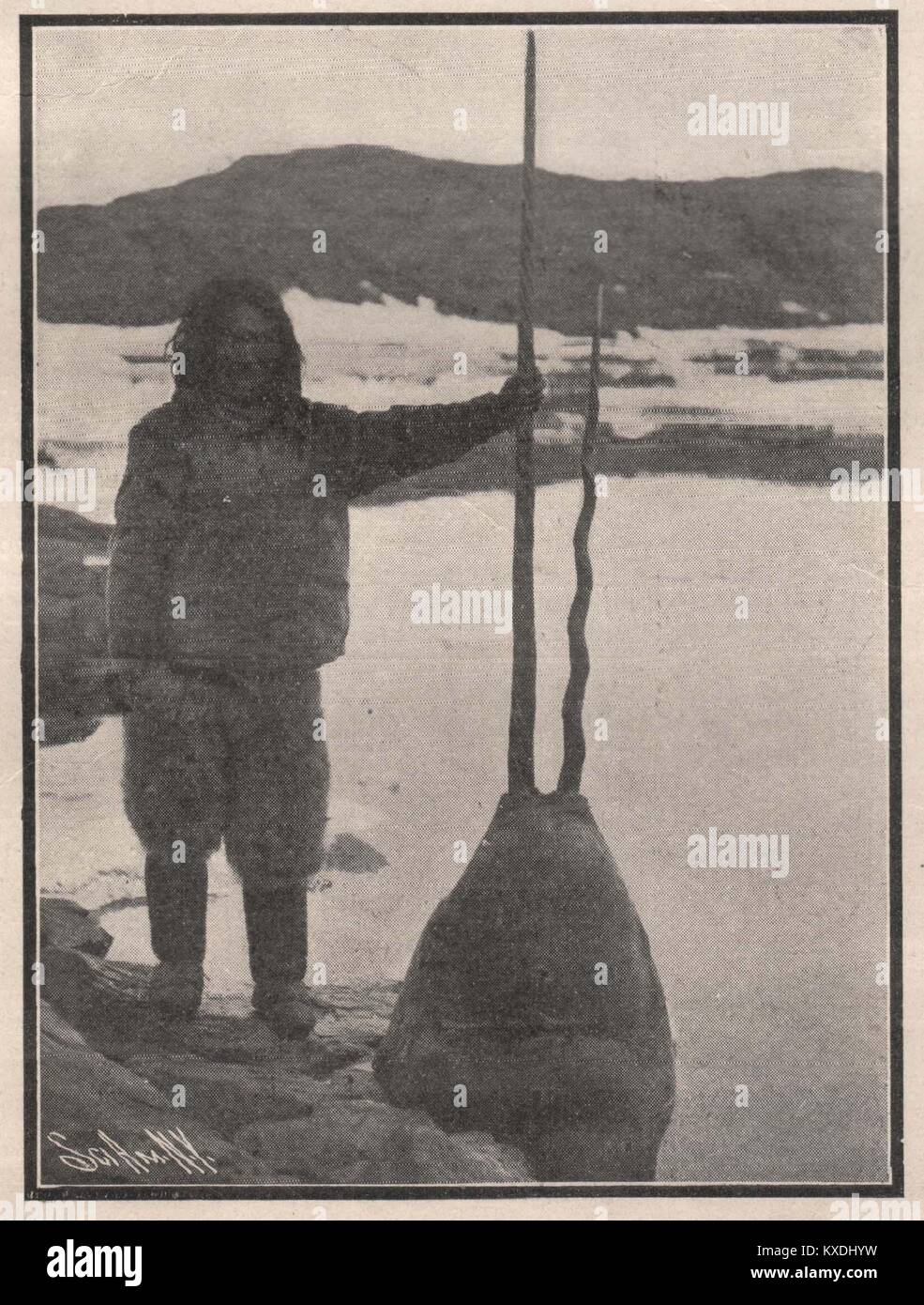 Double horned narwhal hi-res stock photography and images - Alamy