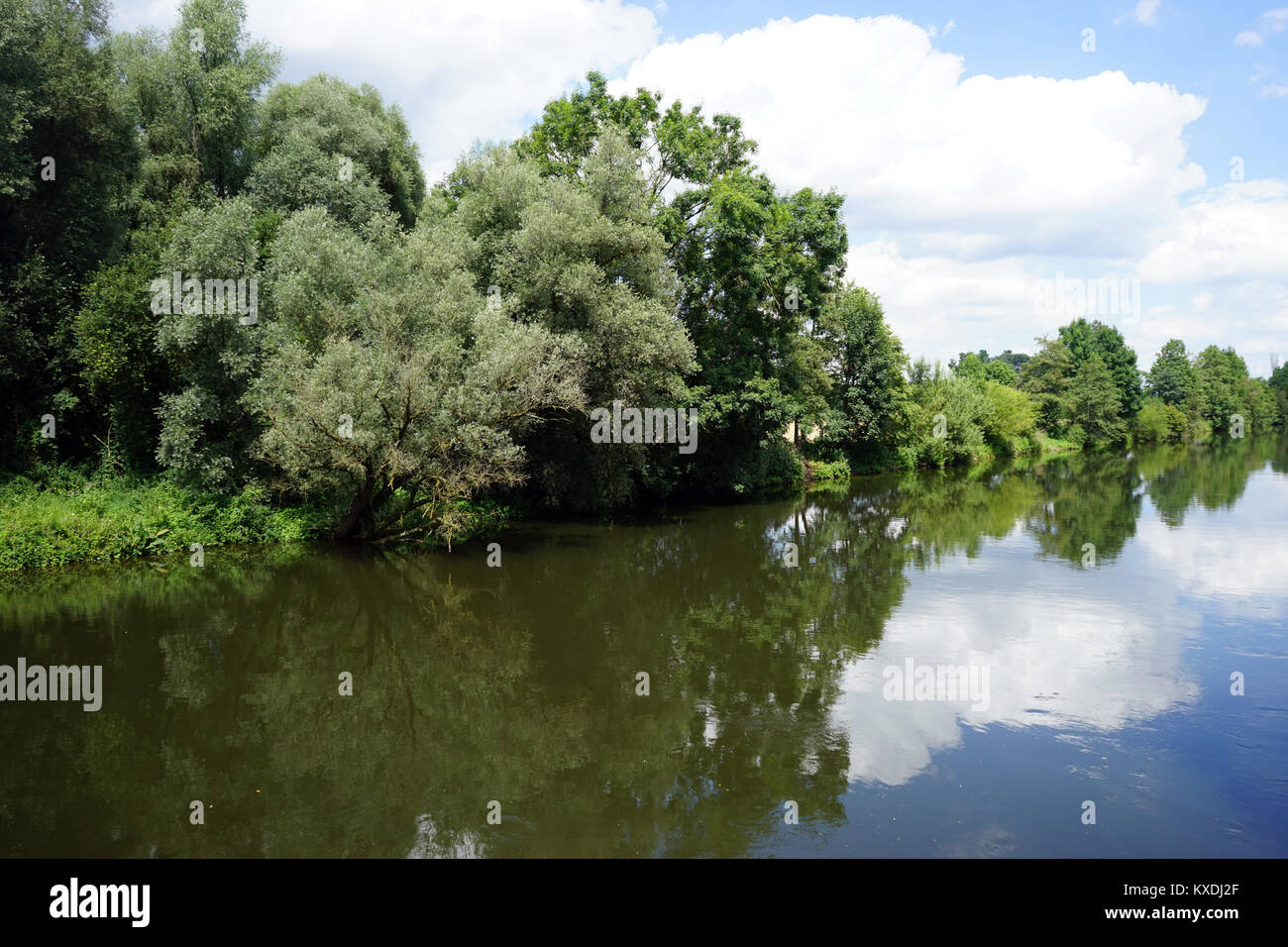 Rein river with trees and reflections in Germany Stock Photo - Alamy