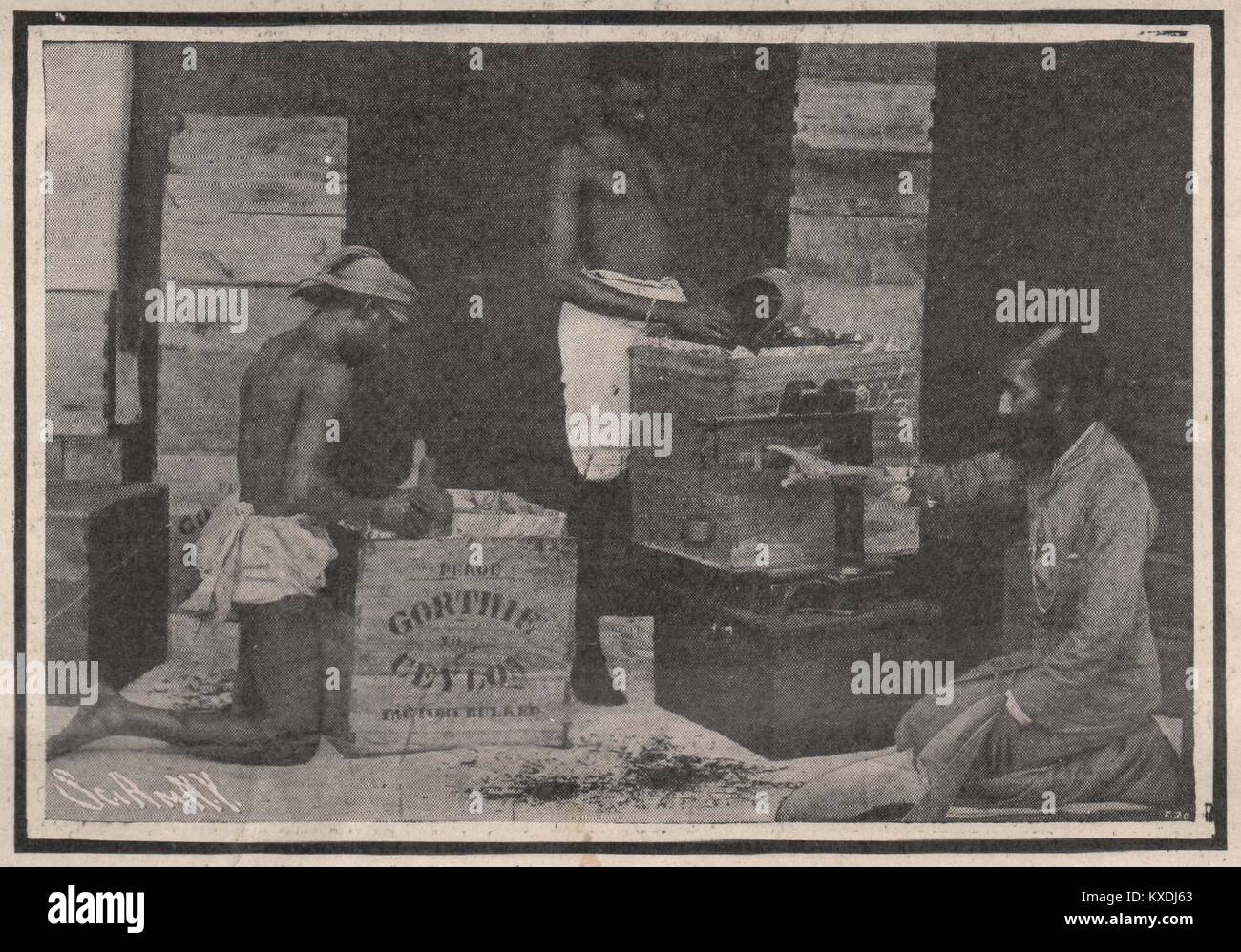 Packing tea in chests Stock Photo - Alamy