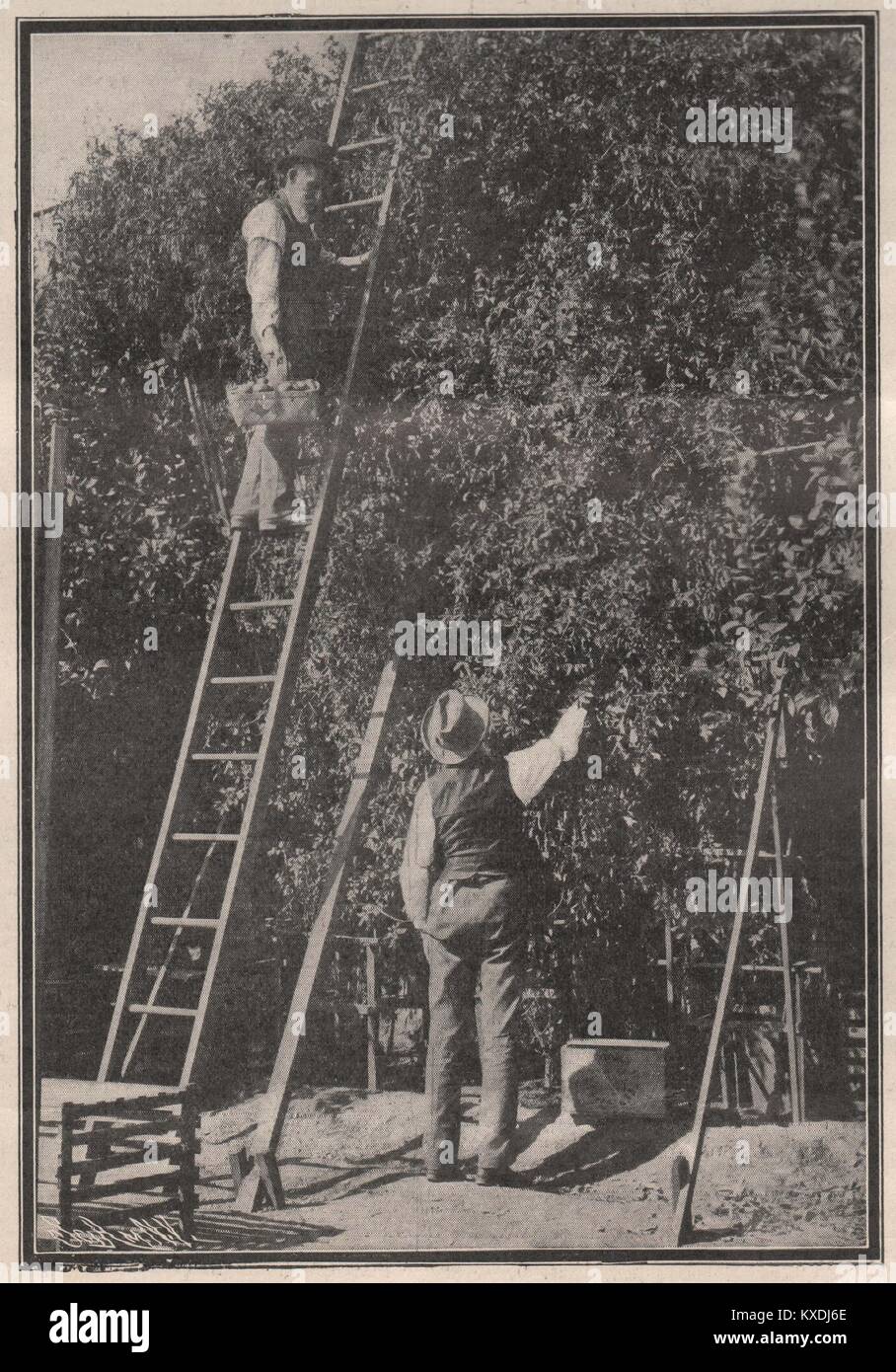 1904 feet hi-res stock photography and images - Alamy