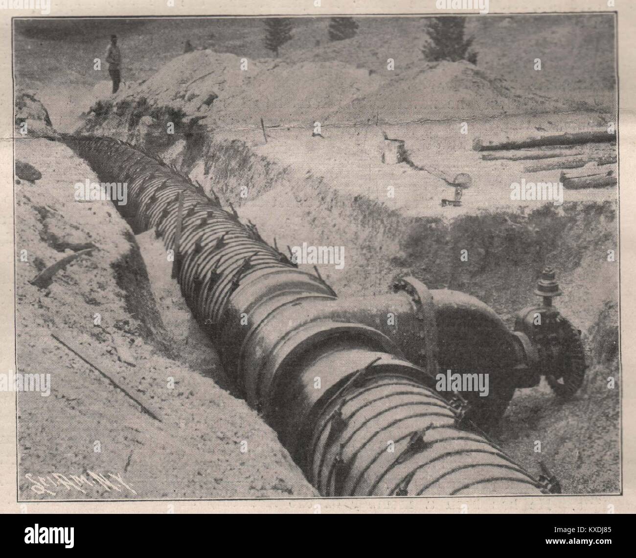 Two-foot Domestic Water Service Redwood Stave Pipe Showing Two-Foot ...