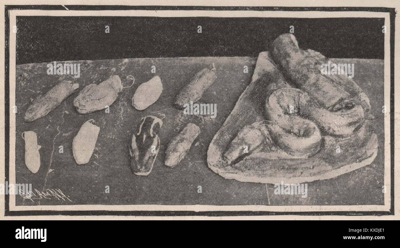 Plaster Casts for Study Stock Photo - Alamy