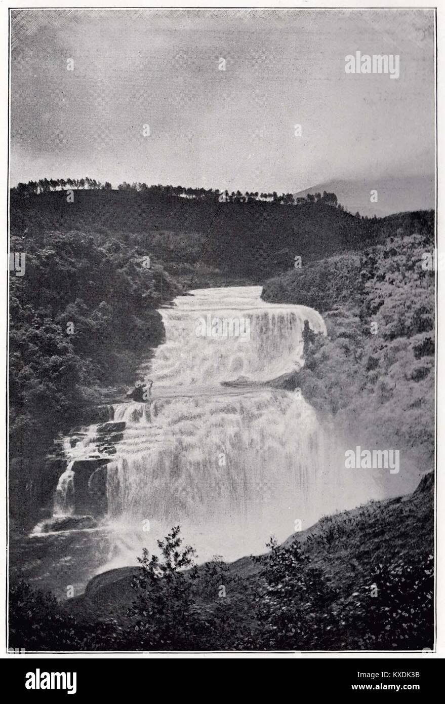 Dimbula hi-res stock photography and images - Alamy