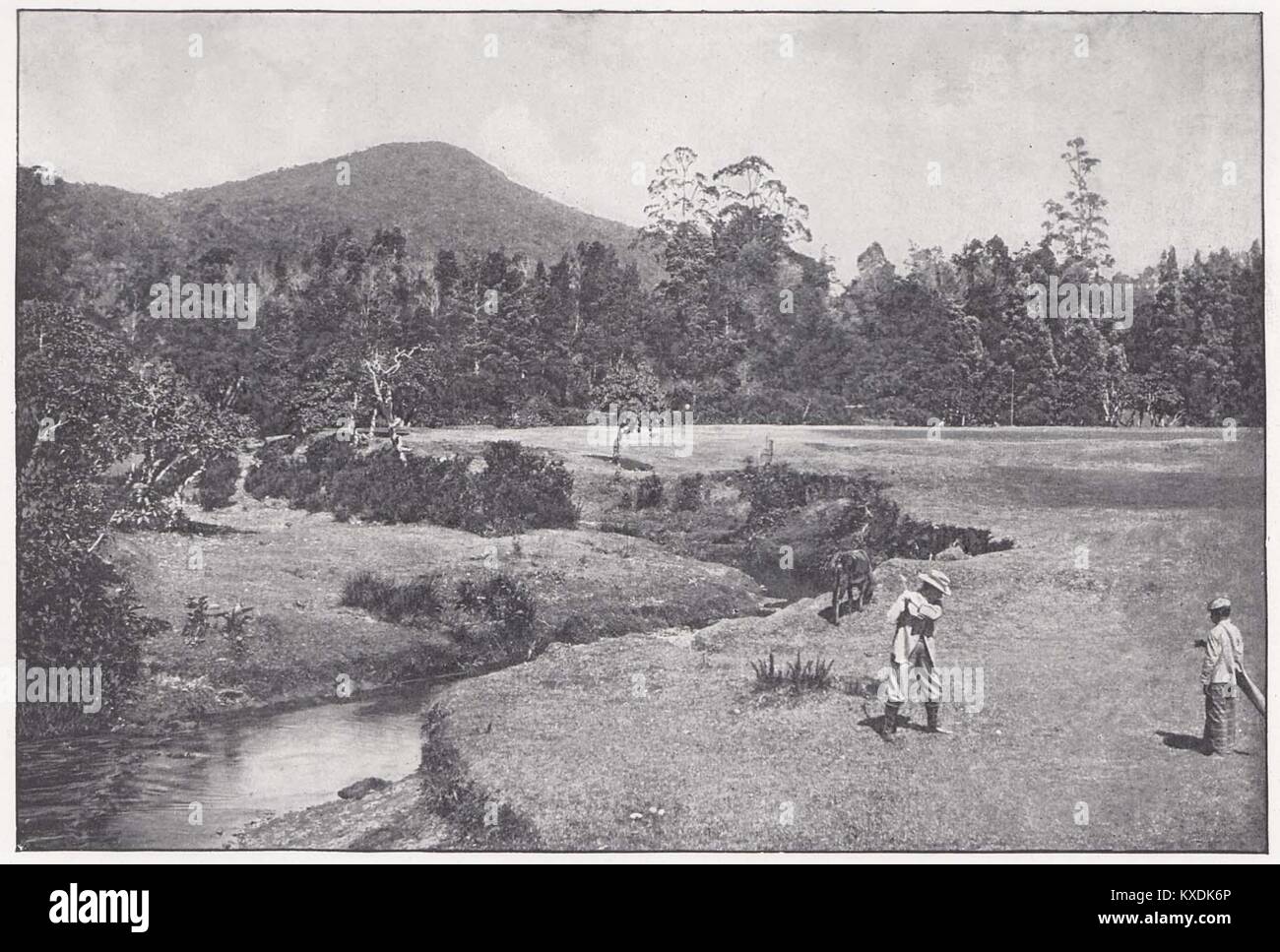 Babbles High Resolution Stock Photography and Images - Alamy