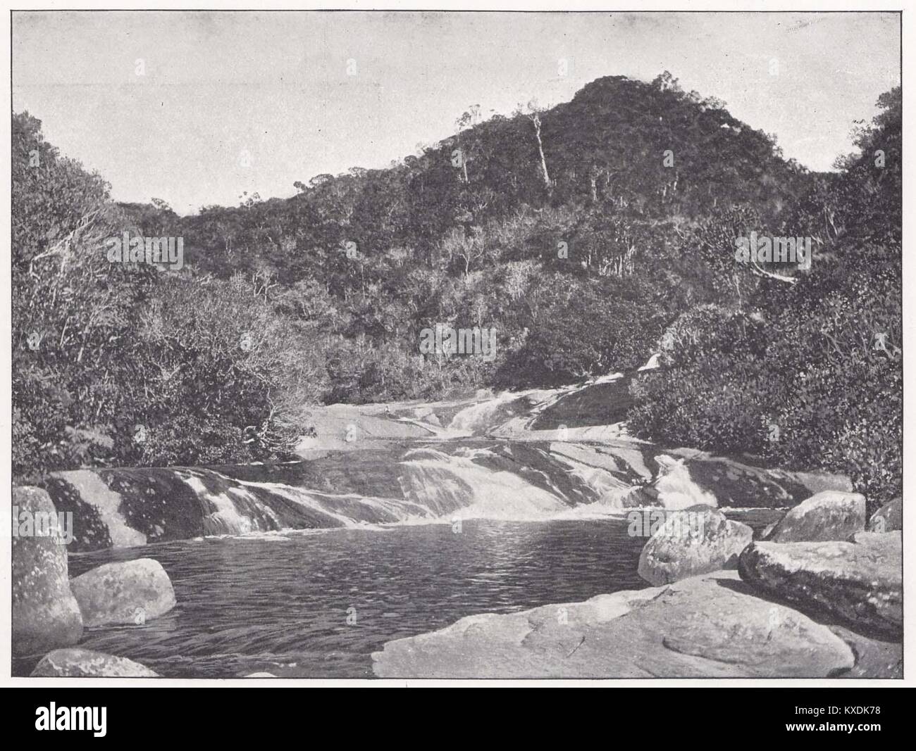 Stag at bay hi-res stock photography and images - Alamy