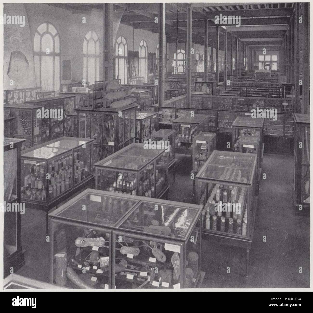 An Exhibit Section, Commercial Museum Stock Photo - Alamy