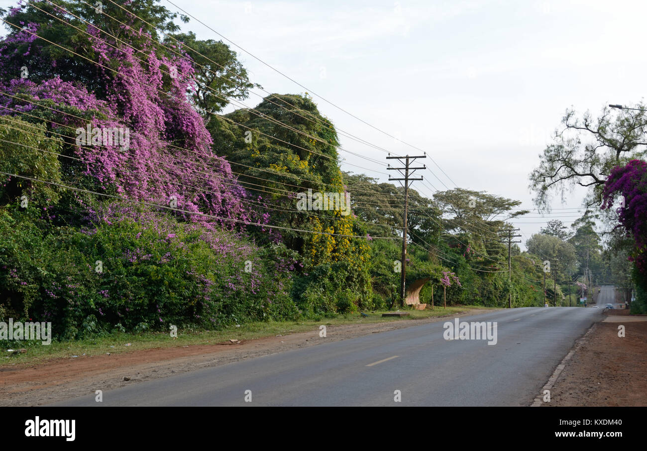 Karen kenya hi-res stock photography and images - Alamy