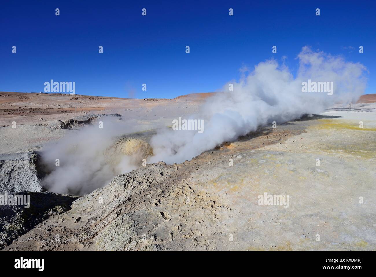 Fumaroles at the highest geothermal field in the world, Sol de Mañana ...