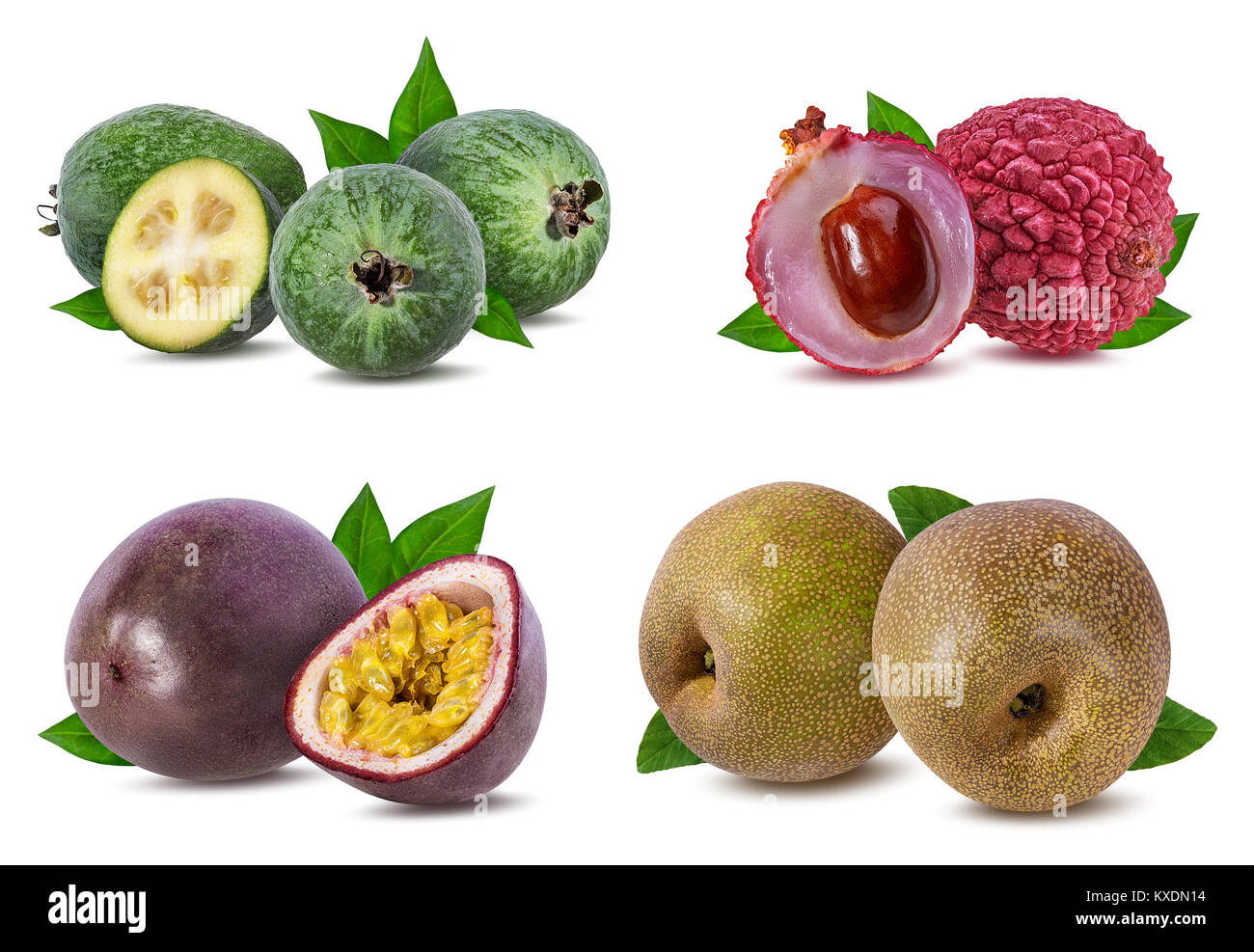 Collection of exotic fruits isolated on a white background Stock Photo ...