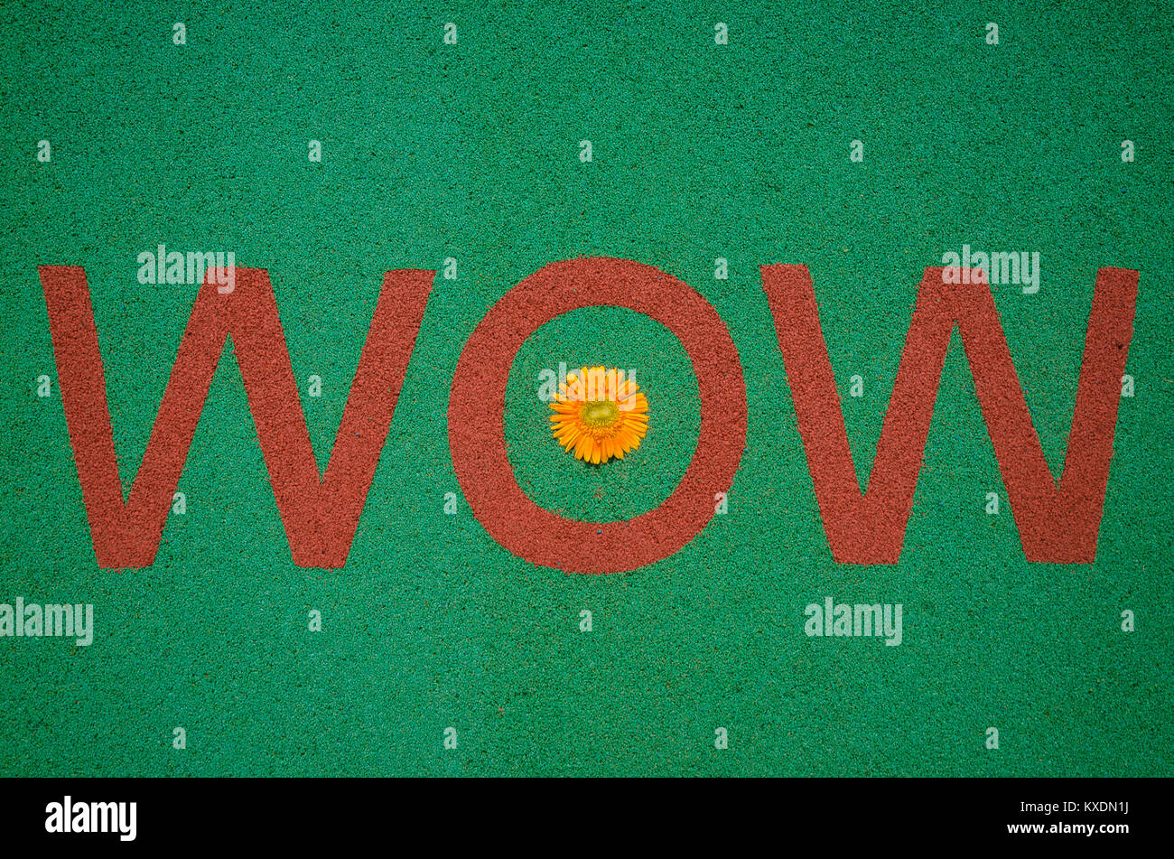 'WOW' painted in bold with red color and a flower head kept at its ...