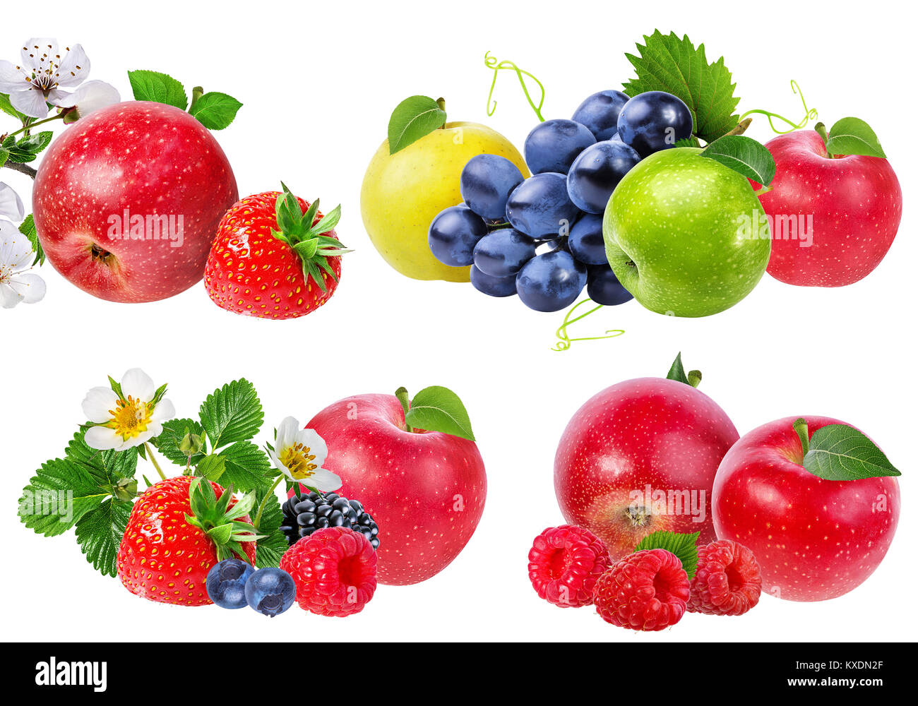Collection of fruits isolated on white background Stock Photo - Alamy