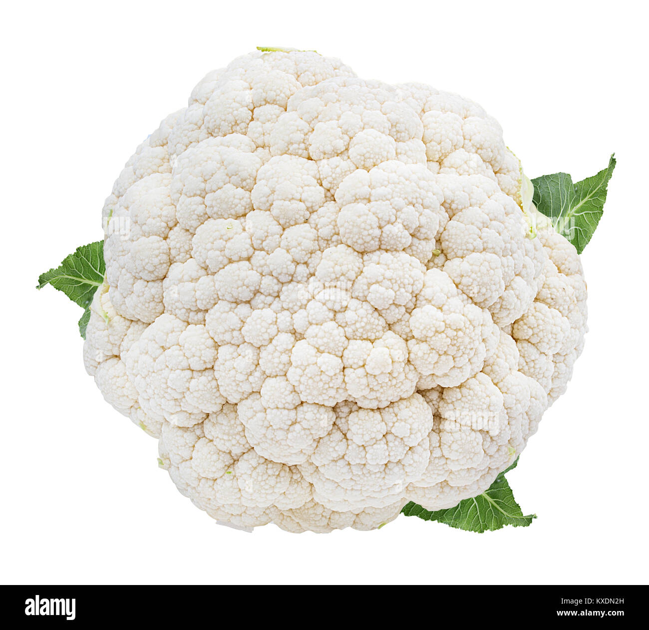 Cauliflower isolated on white background Stock Photo - Alamy