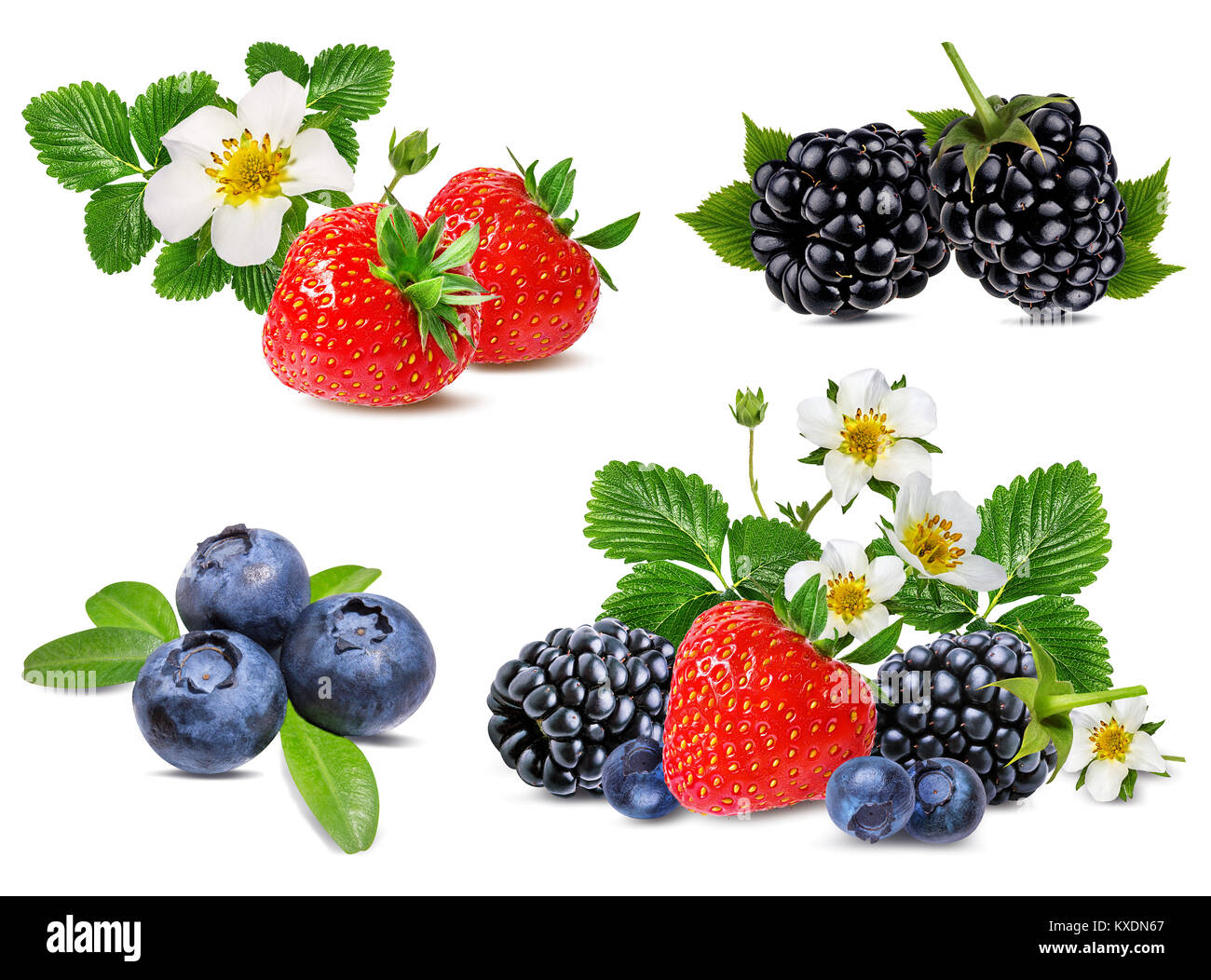 collection of fresh berries isolated on white background Stock Photo ...