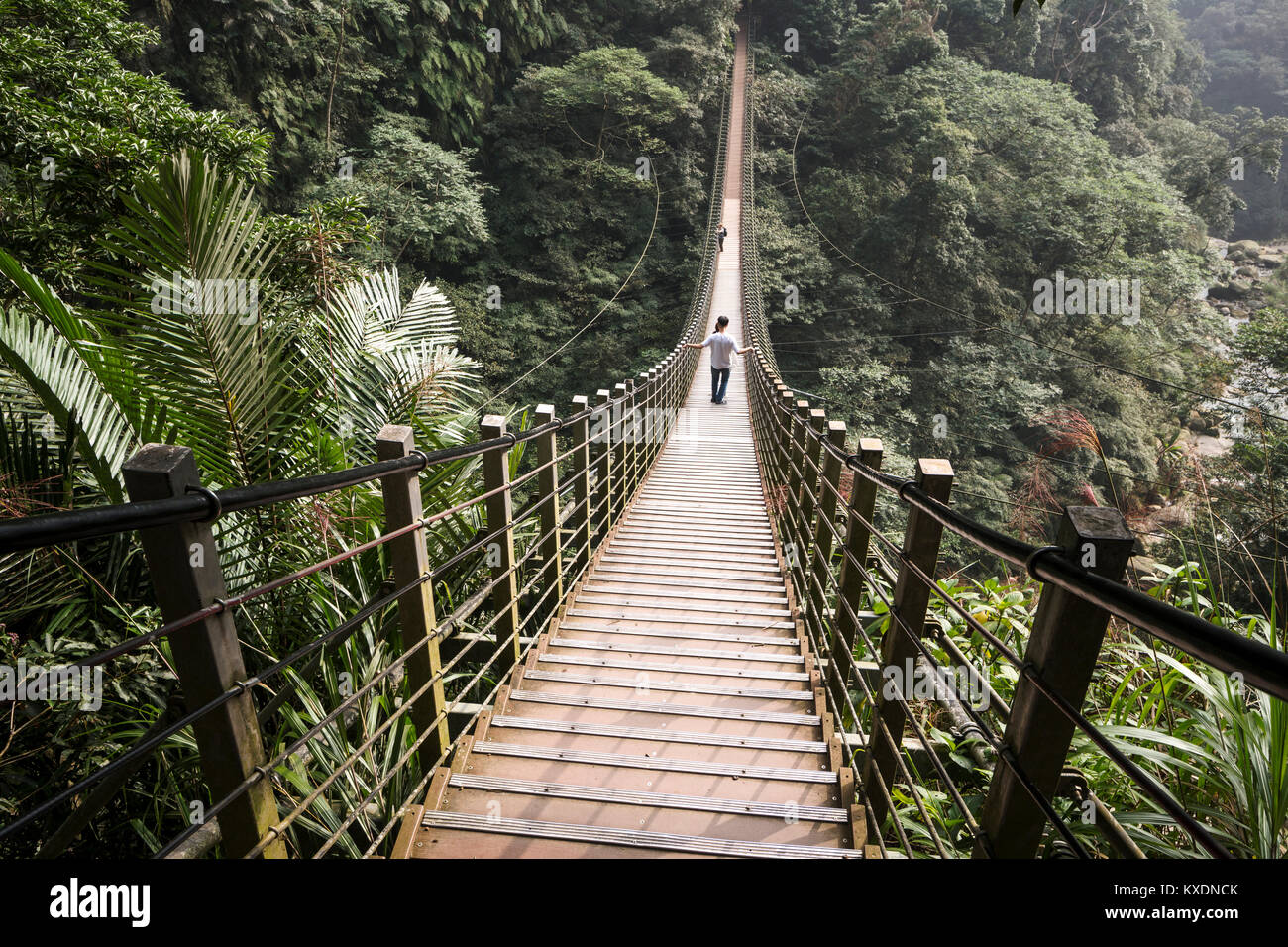 People on suspension bridge, Sky ladder, Zushan, Nantou, Taiwan, China ...