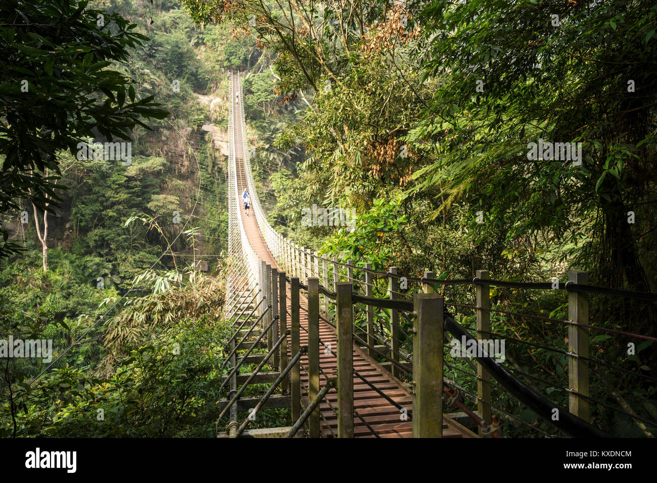 People on suspension bridge, Sky ladder, Zushan, Nantou, Taiwan, China ...
