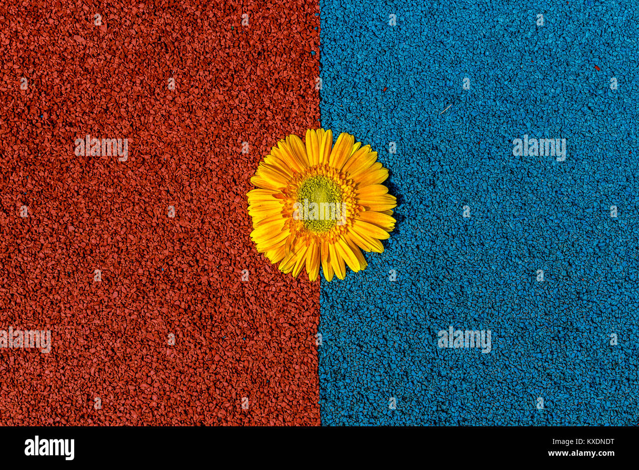 Red and blue contrast hi-res stock photography and images - Alamy