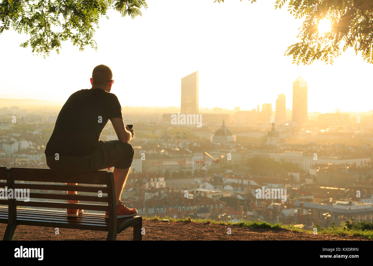 Man on a bench relaxing, checking his phone and enjoying the summer ...