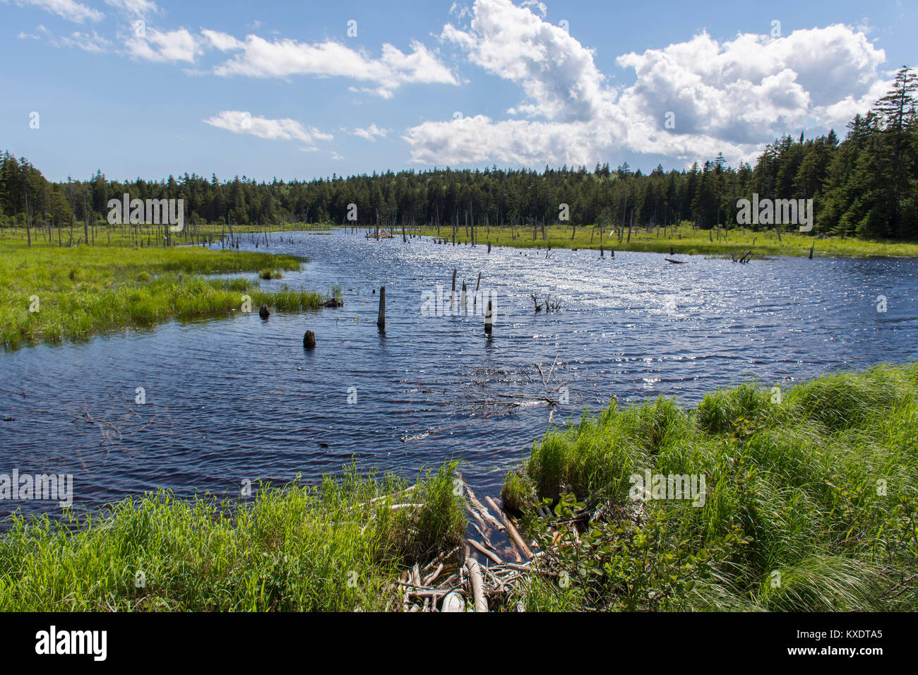 New brunswick lake hi-res stock photography and images - Alamy