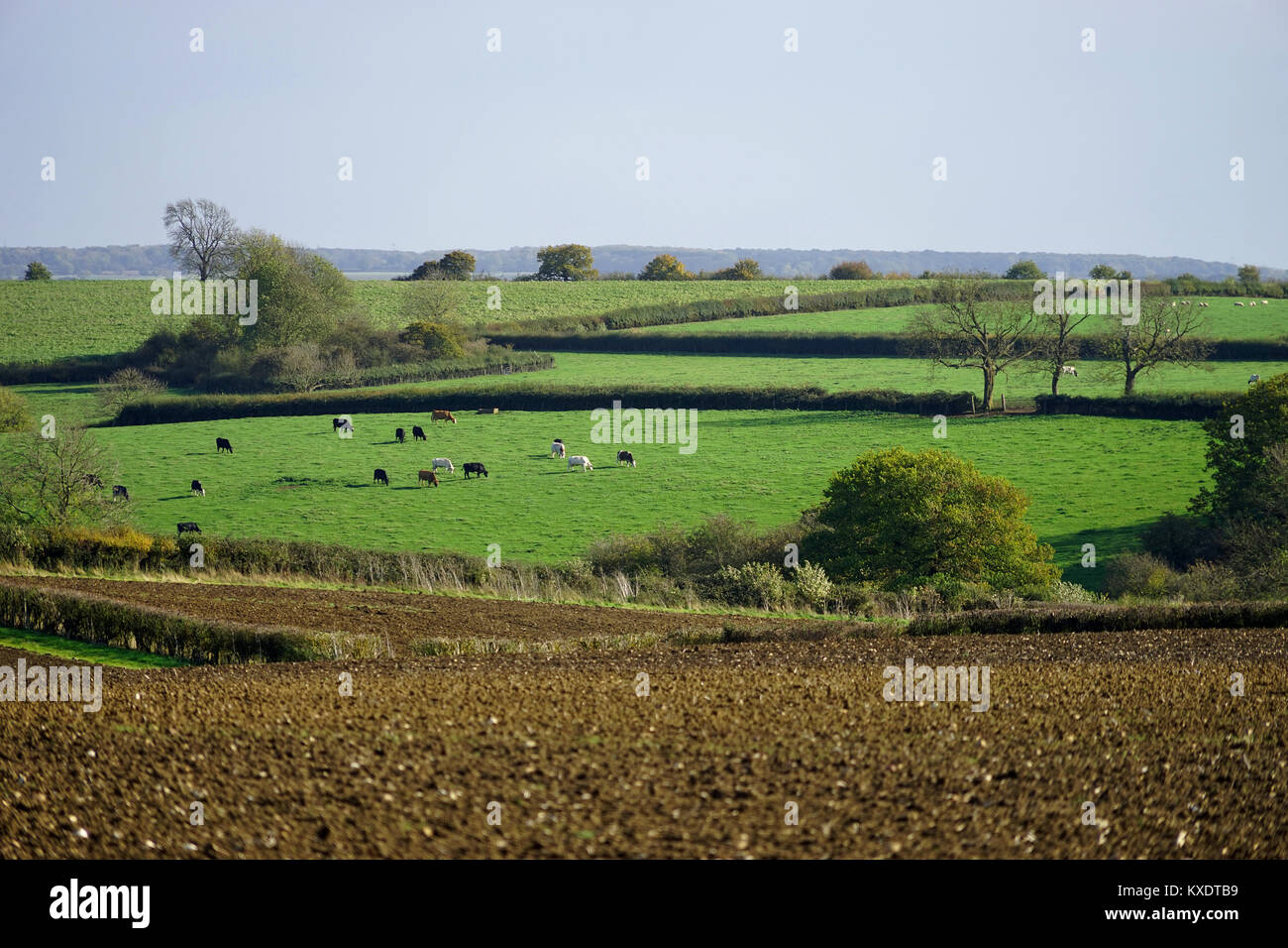 Northamptonshire landscape hi-res stock photography and images - Alamy