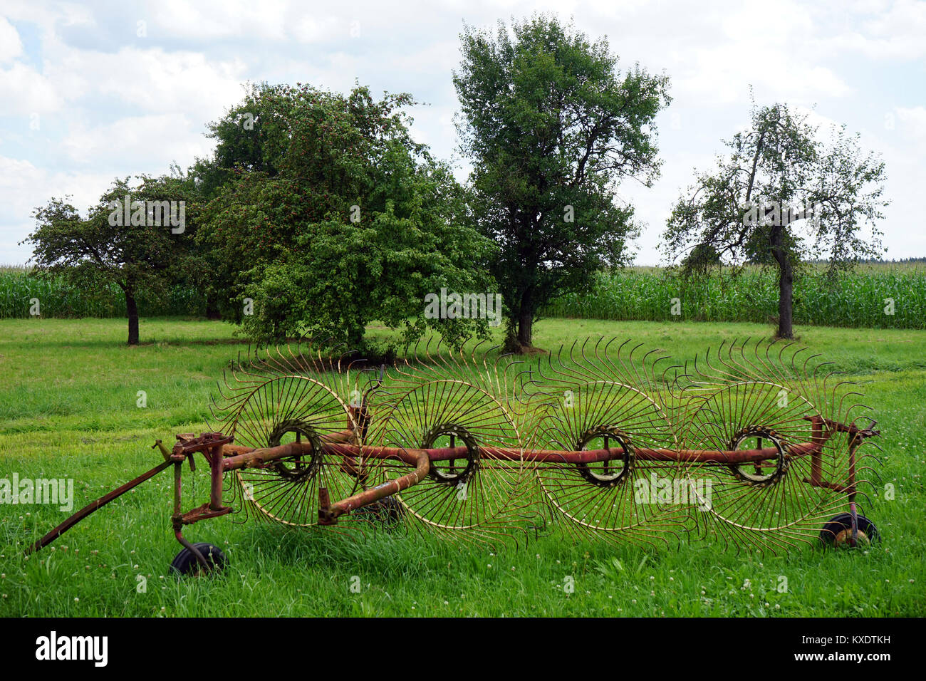 Harrow on the green field and trees Stock Photo - Alamy