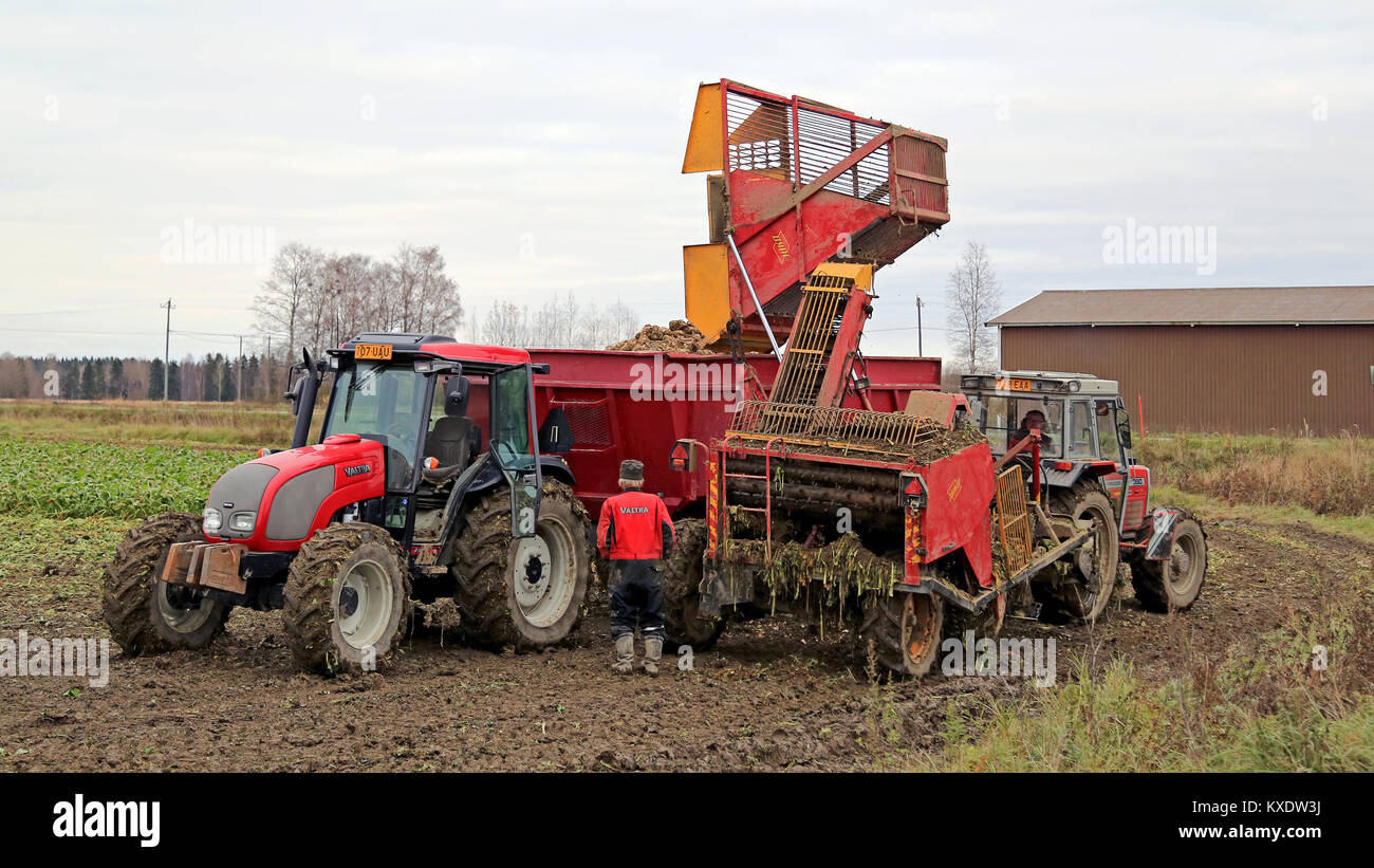 Loading sugar beet hi-res stock photography and images - Alamy