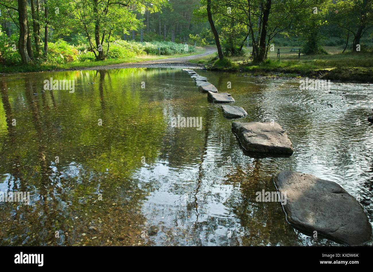 Sherbrook valley trail cannock chase hi-res stock photography and ...