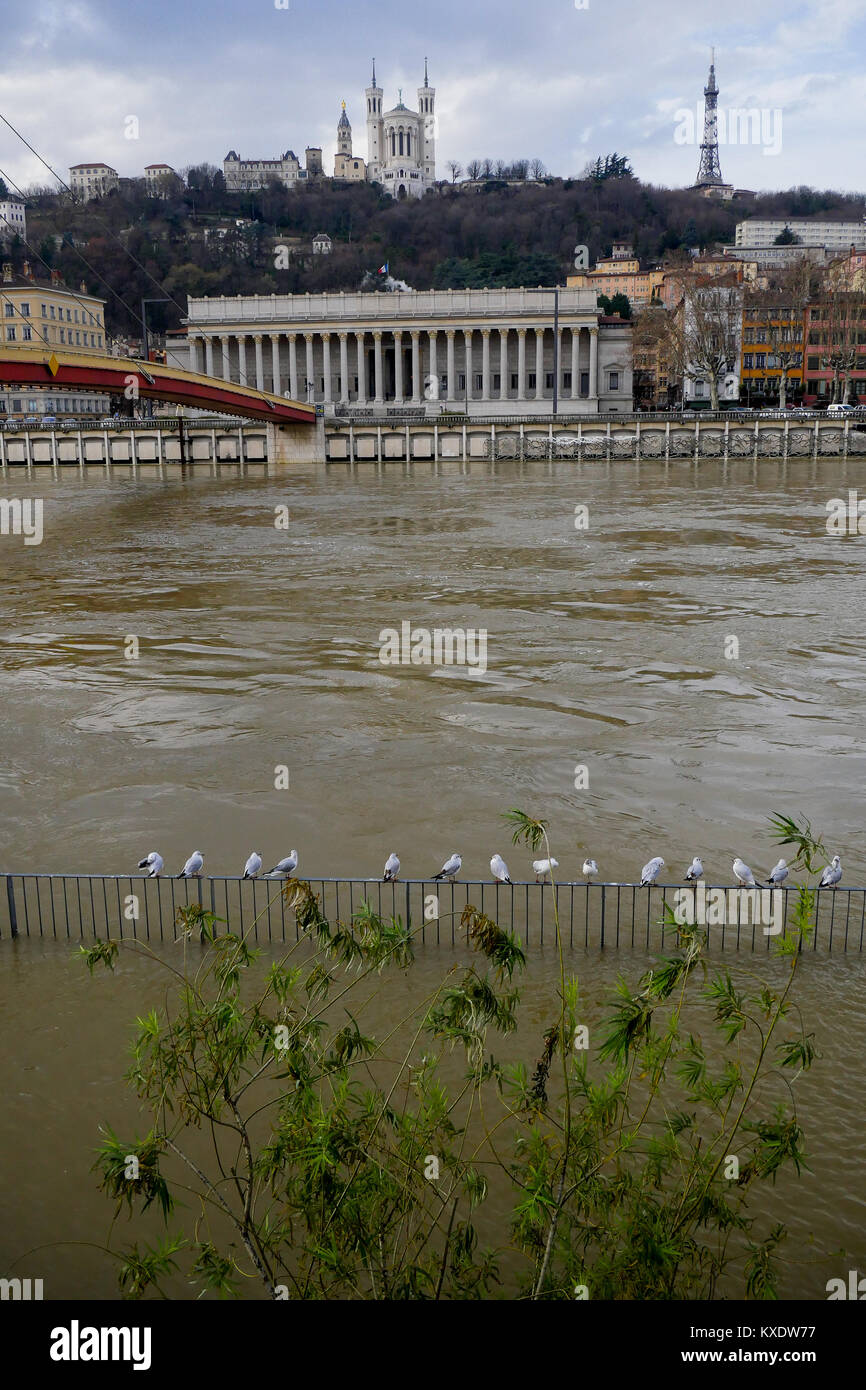 Saône river quays seen in flood season, Lyon, France Stock Photo - Alamy