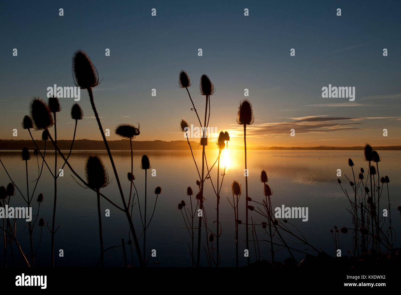 Montrose tidal basin hi-res stock photography and images - Alamy