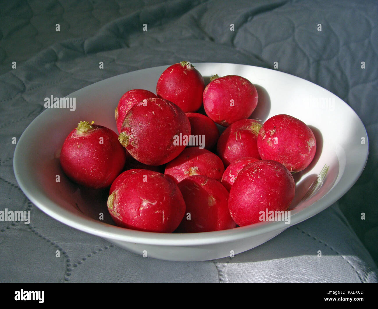 Big red radishes in dish close up Stock Photo - Alamy