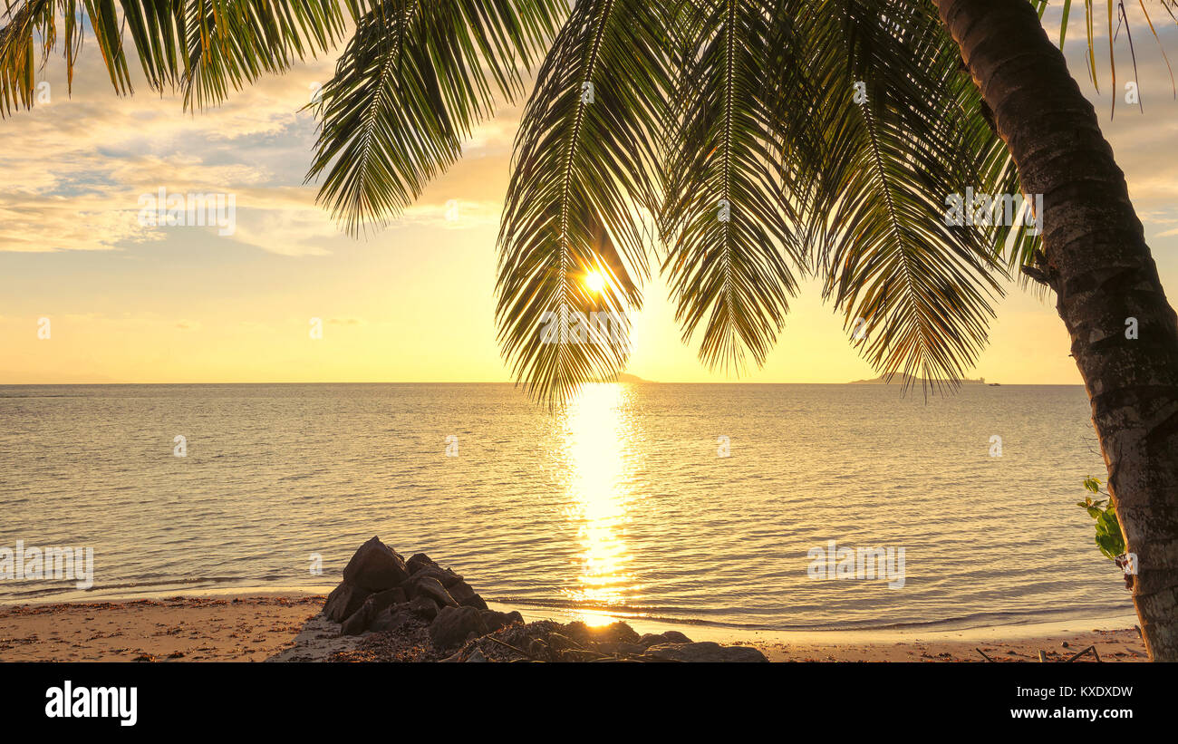 Sunlight sunny tourism travel tree tropical vacation water hi-res stock ...