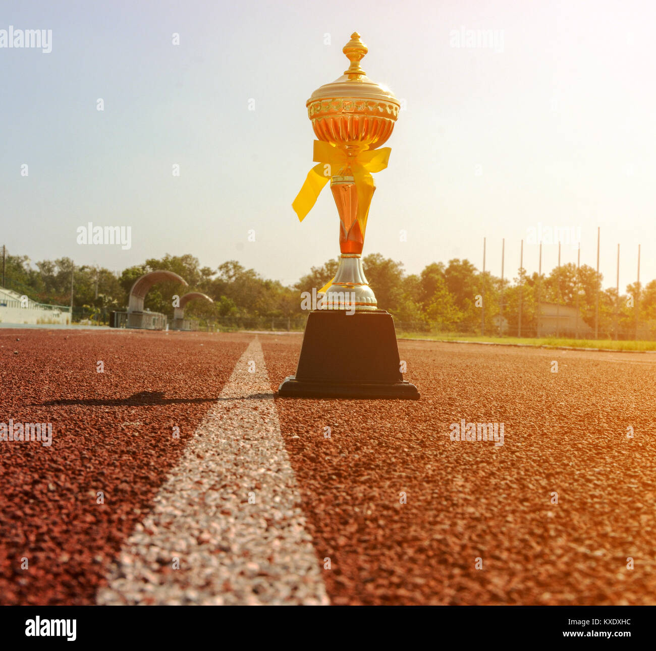 gold cup winner, track running Stock Photo - Alamy