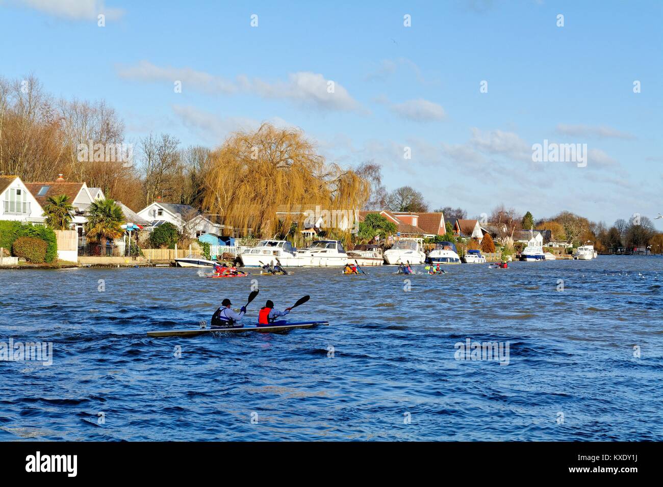 Residential homes on the River Thames at Shepperton Spelthorne Surrey ...