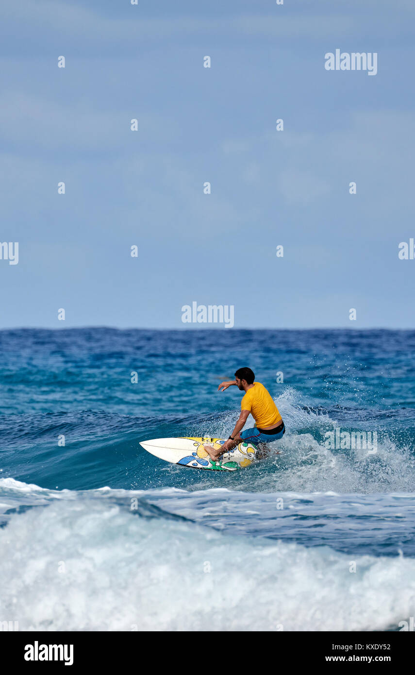 Professional surfer, surfing a wave. Surfer carves a radical off-the ...