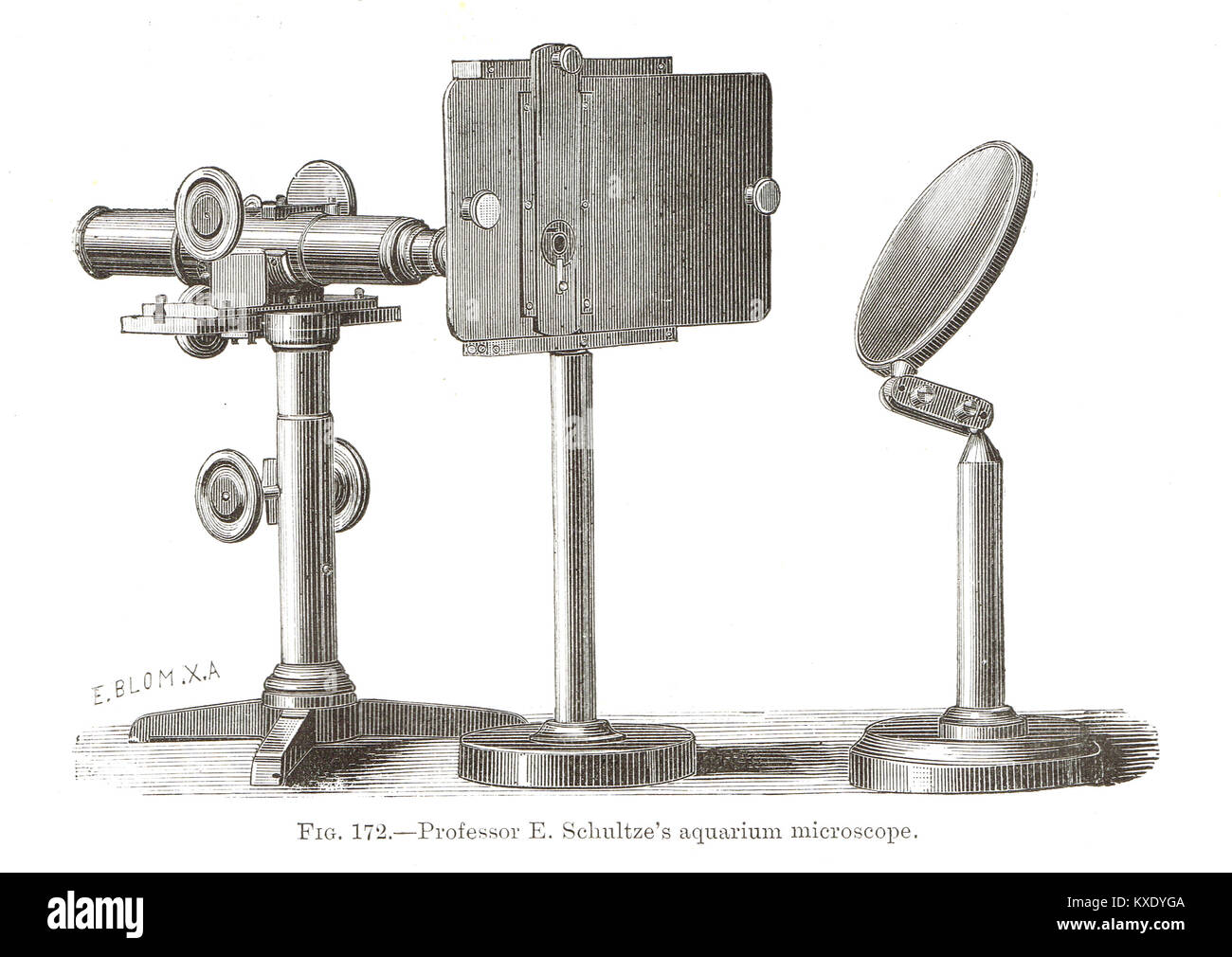 Professor E Schultze's aquarium microscope Stock Photo - Alamy