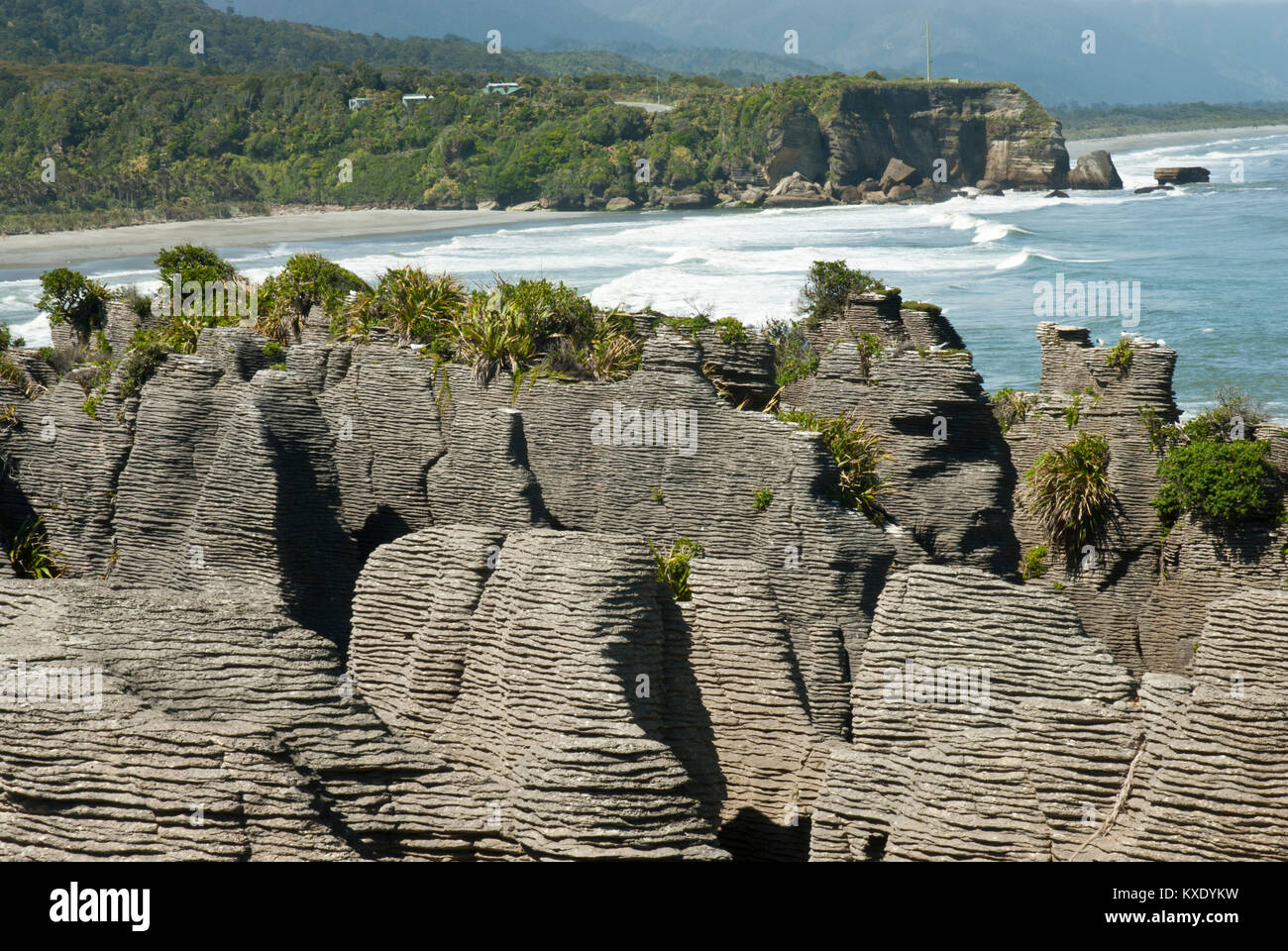 Punakaiki,Paparoa National Park. Foreground of 'Pancake rock' formation ...