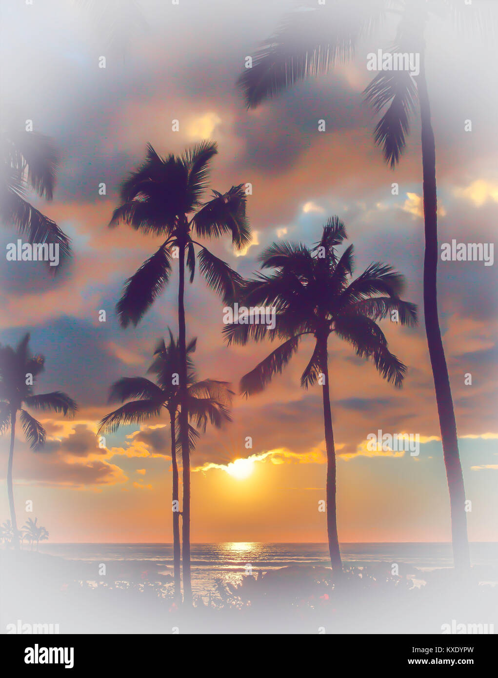 Tropical Hawaiian Sunset Stock Photo - Alamy
