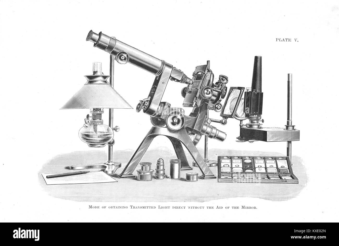 Microscope obtaining transmitted light hi-res stock photography and ...