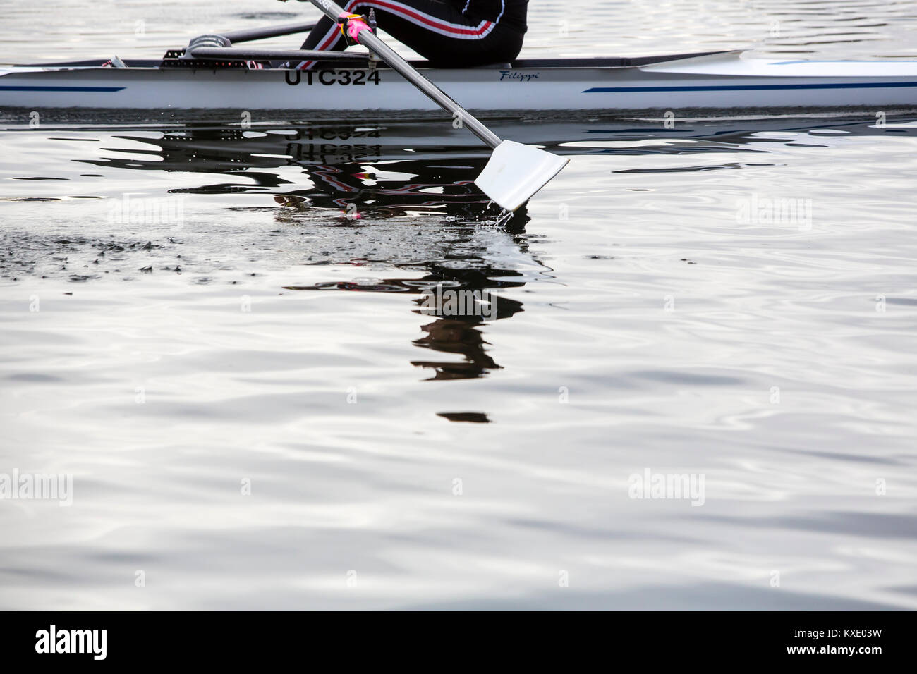A single rower on a river skulling through the gently rippling water ...