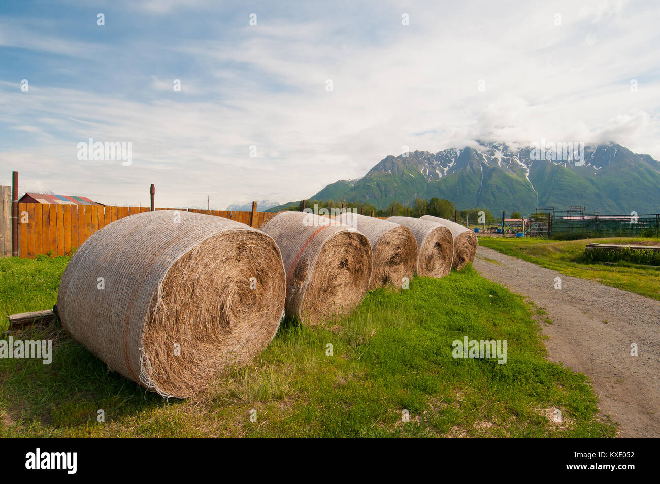 Closeup view of rolled dried hay with mountain background Stock Photo ...