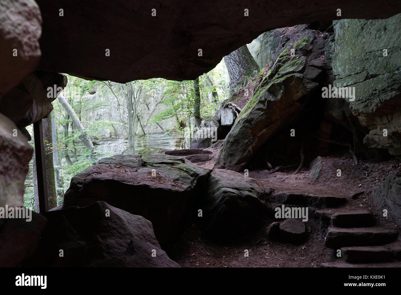 Footpath with steps in cave, Luxembourg Stock Photo - Alamy