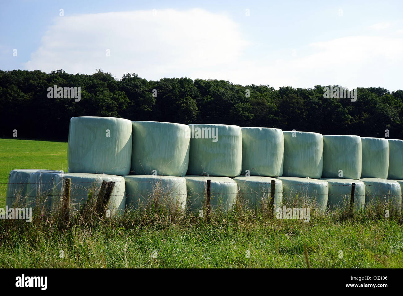 Hay under cover hi-res stock photography and images - Alamy