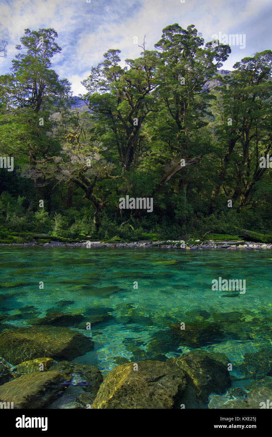 Clinton River with pristine clear water, Milford Track outdoor great ...