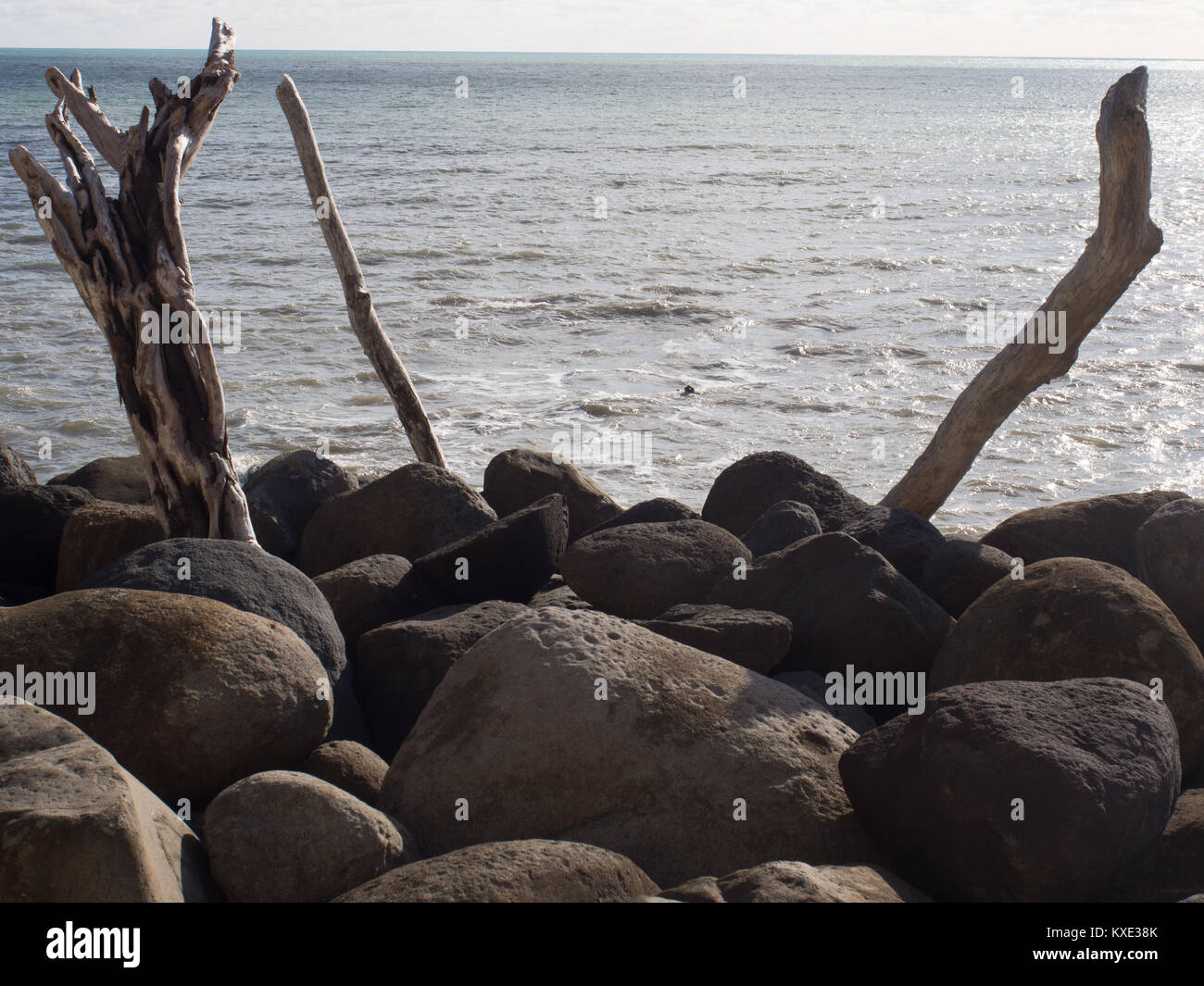 Sticks In Rocks Overlooking The Ocean Stock Photo - Alamy