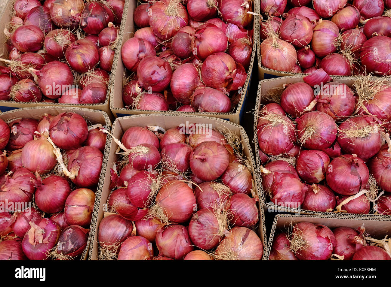 red onions at the market Stock Photo - Alamy