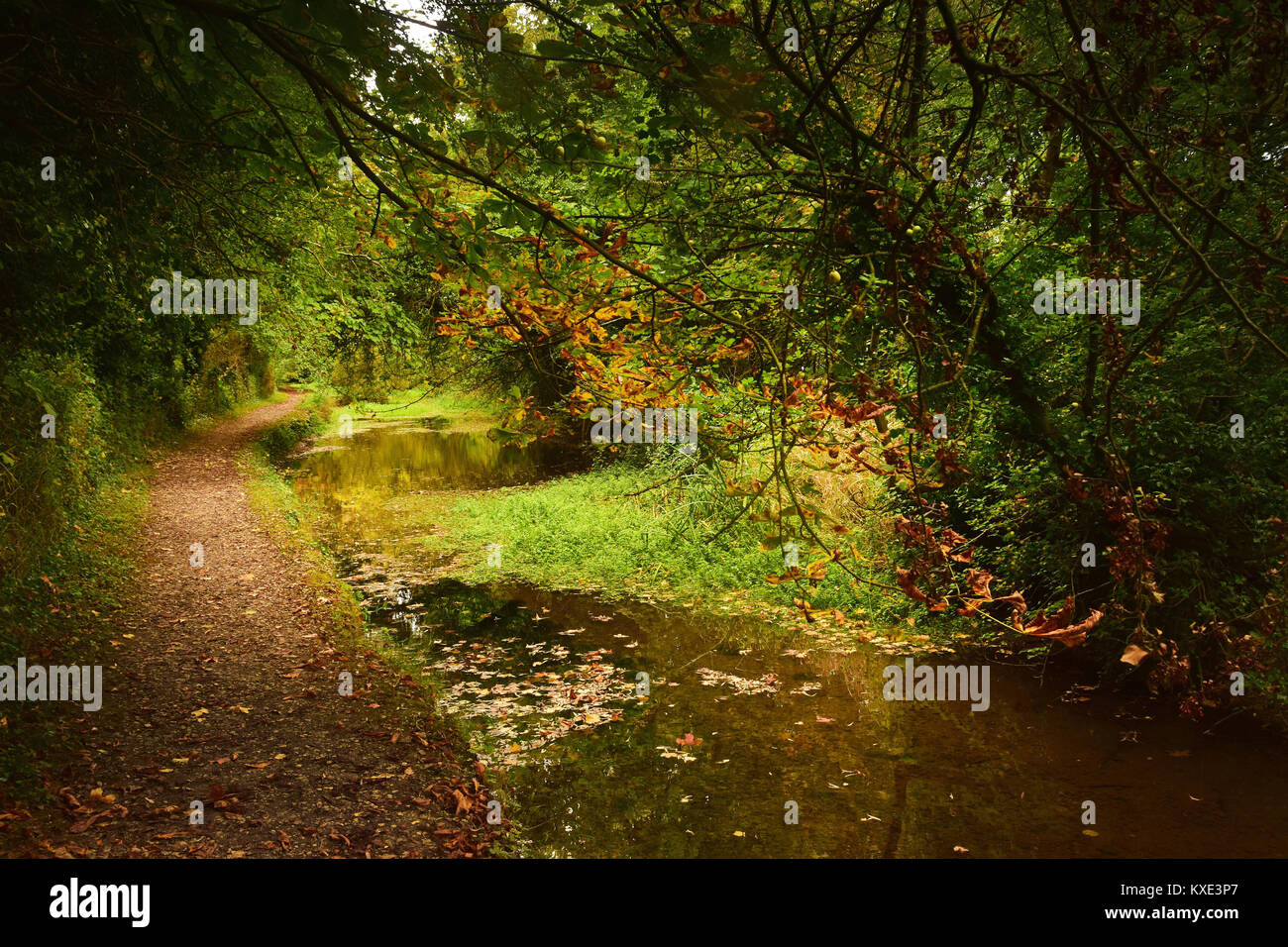 Source of the thames hi-res stock photography and images - Alamy