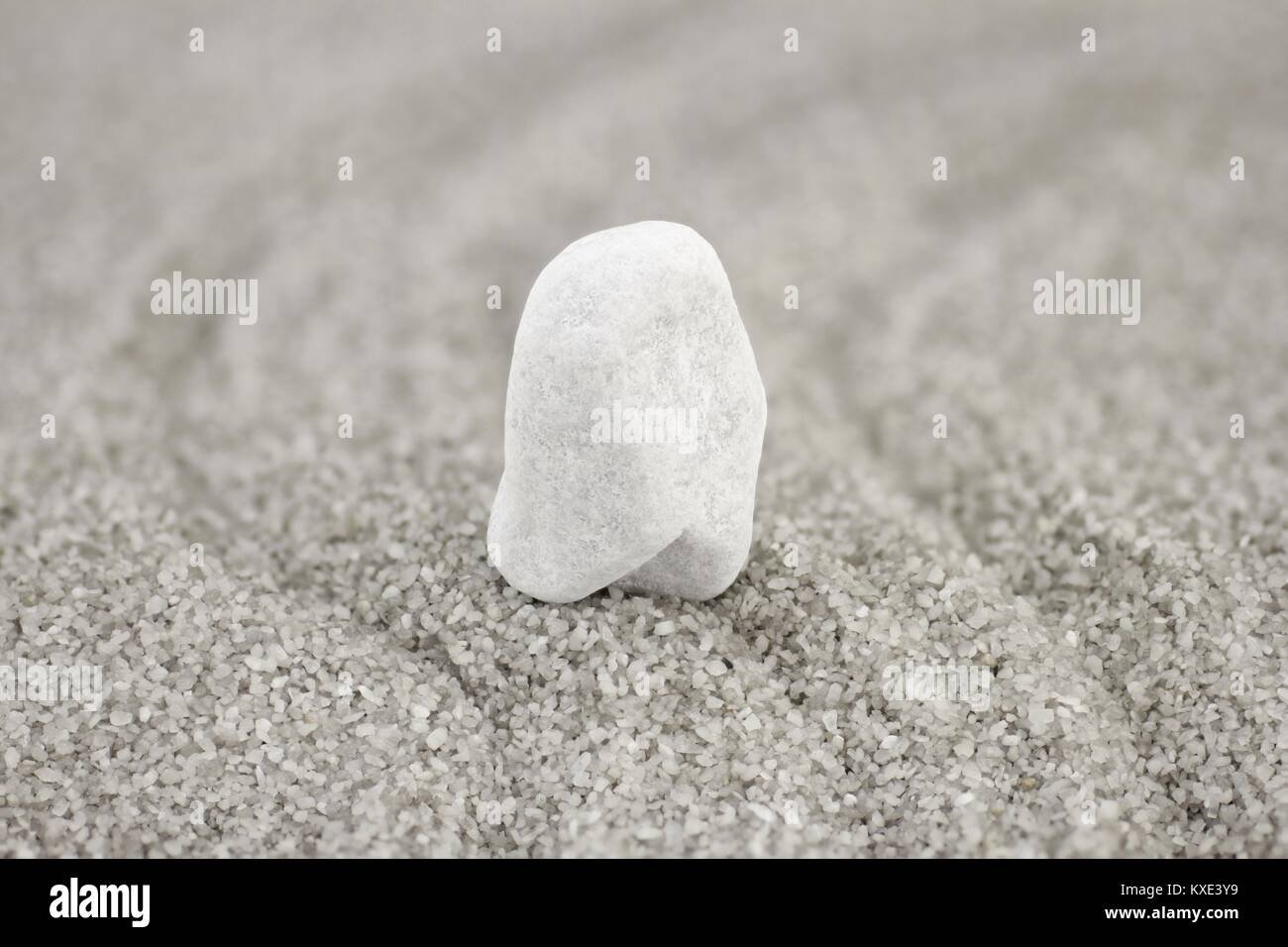 A single white pebble stands in gray sand Stock Photo - Alamy